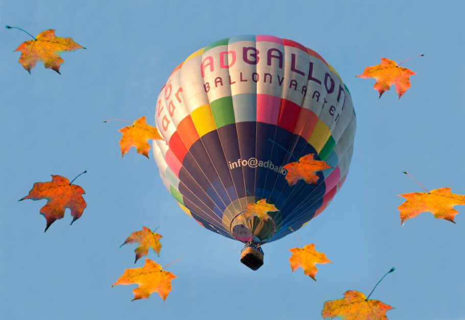 Ballonvaren in de herfst!